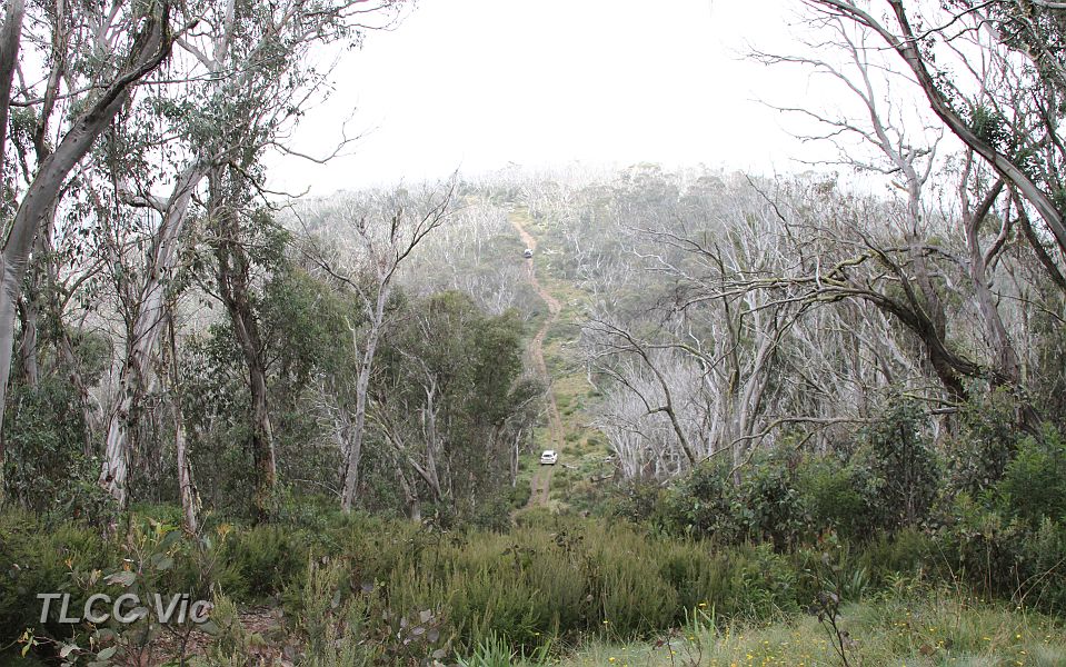 2011-03-Davies High Plain Adventure/11-Convoy shot climbing Mt Gibbo