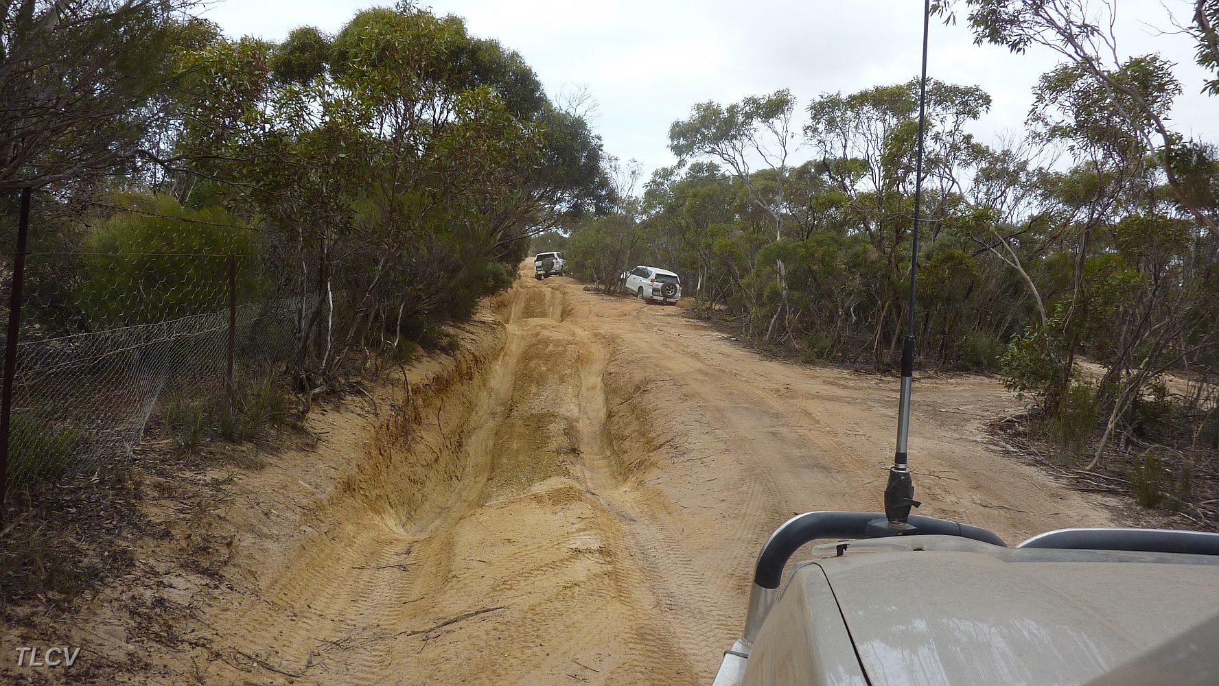 2012-04-VIC-SA Border Track/34-Some interesting bog holes at the bottom ...